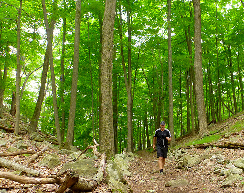 Long Path, NY – besthike.com