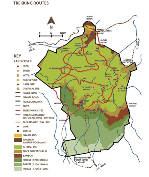 Bale Mountains National Park treks – besthike.com