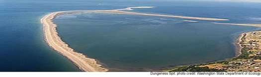 Dungeness Spit, Washington State – besthike.com