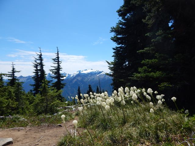 High Divide Loop – besthike.com