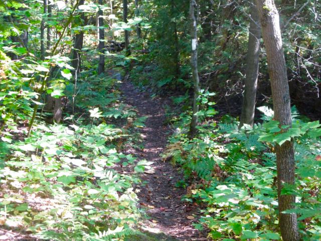Best of The Bruce – Jones Bluff – besthike.com