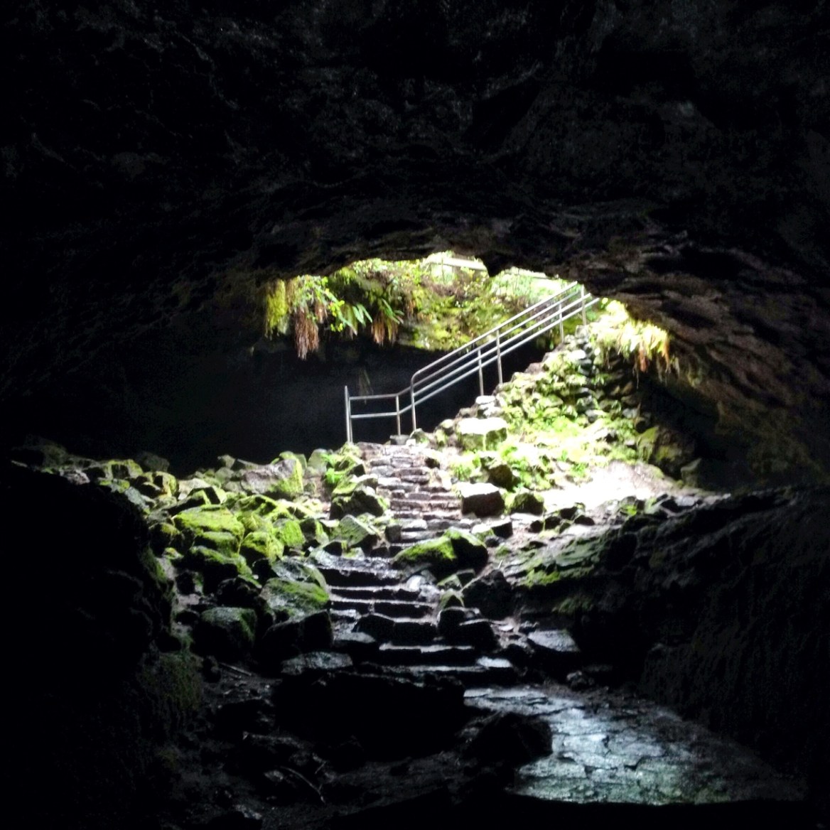 Washington State – Ape Cave Trail – besthike.com