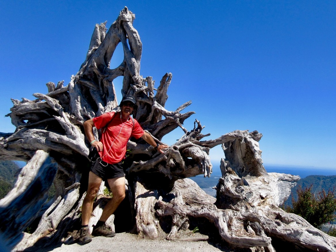Pumalín, Chile – Volcán Chaitén trail – besthike.com
