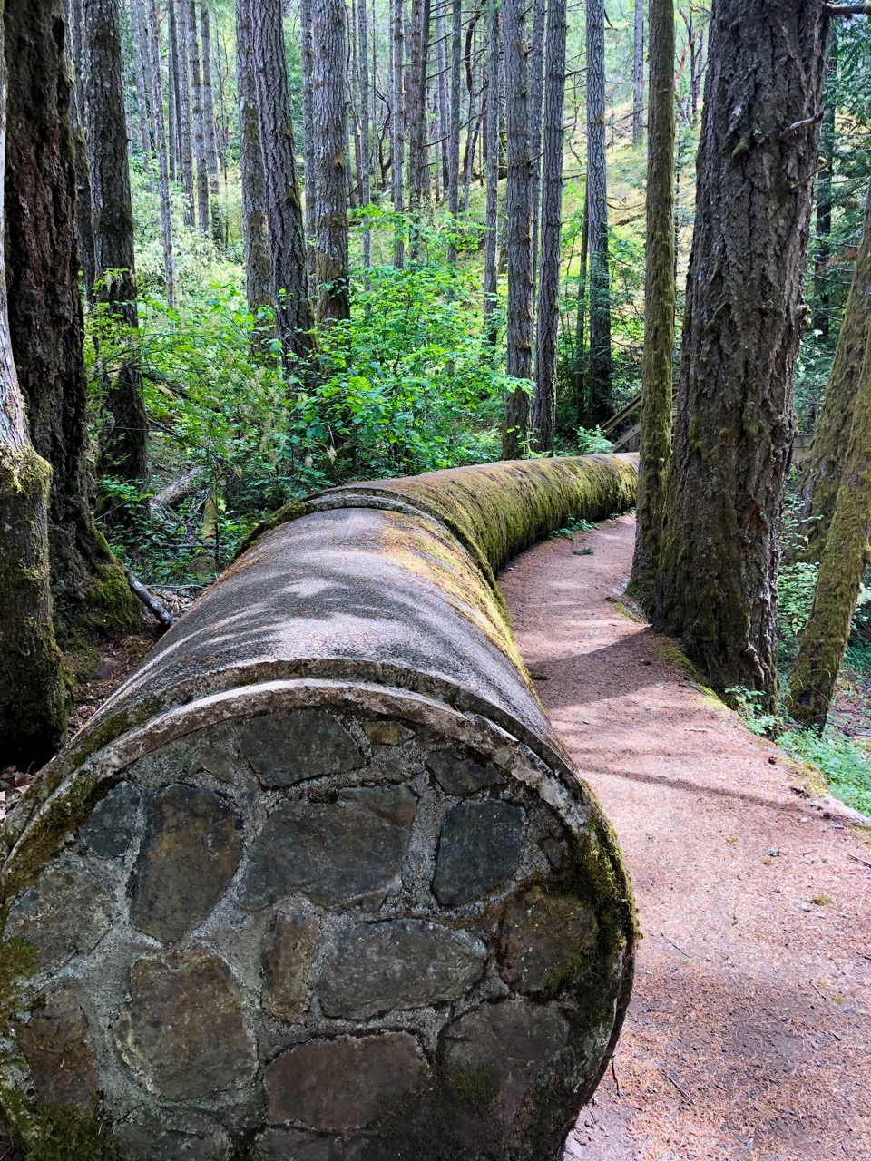 climbing Mt Wells, Victoria B.C. – besthike.com