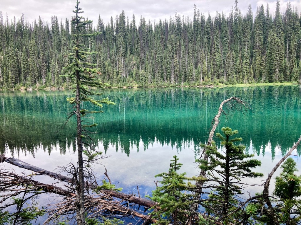 Hiking to Yoho Lake – besthike.com