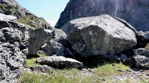 Cream Lake trail, Strathcona Park B.C. – besthike.com