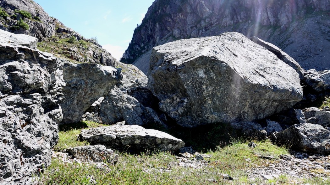 Cream Lake trail, Strathcona Park B.C. – besthike.com