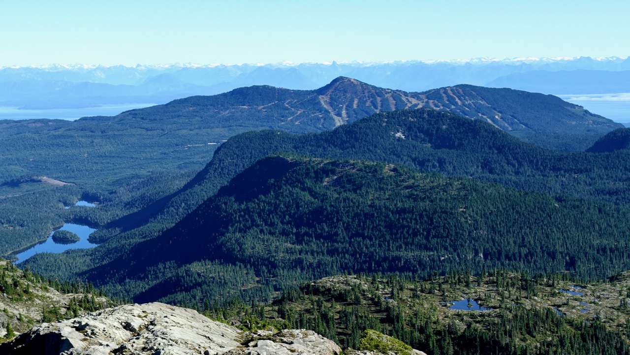 Hiking Mt Albert Edward – besthike.com