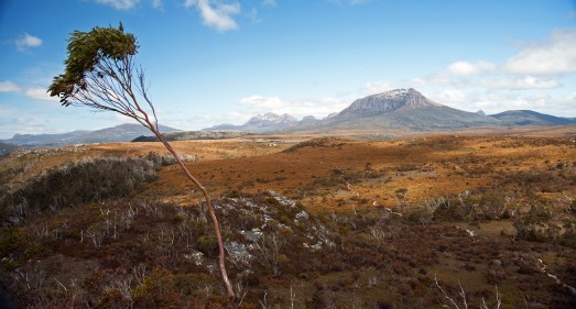 Overland Track – besthike.com